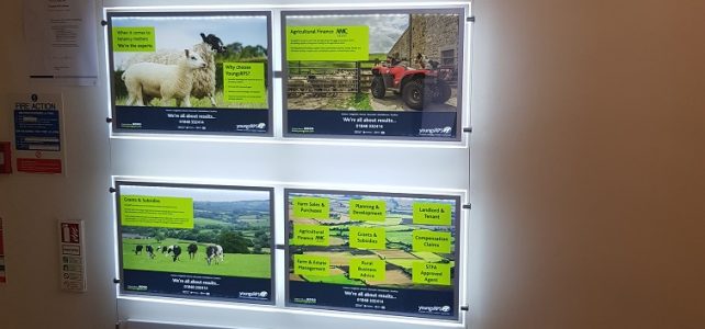 Category: internal displays | Property Displays